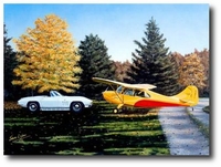 Cross Country Champ by Sam Lyons