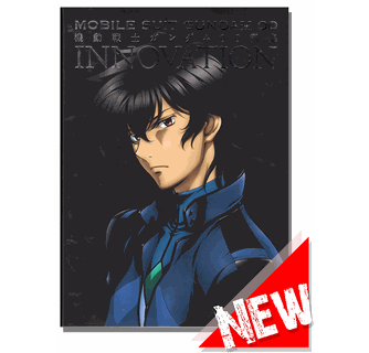 Gundam 00 Setsuna Innovator