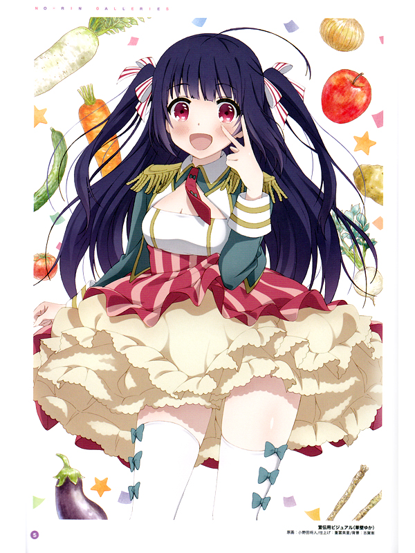 No-Rin TV Animation Official Fan Book - Anime Books