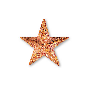 No. 24 Star Bronzetone Pin