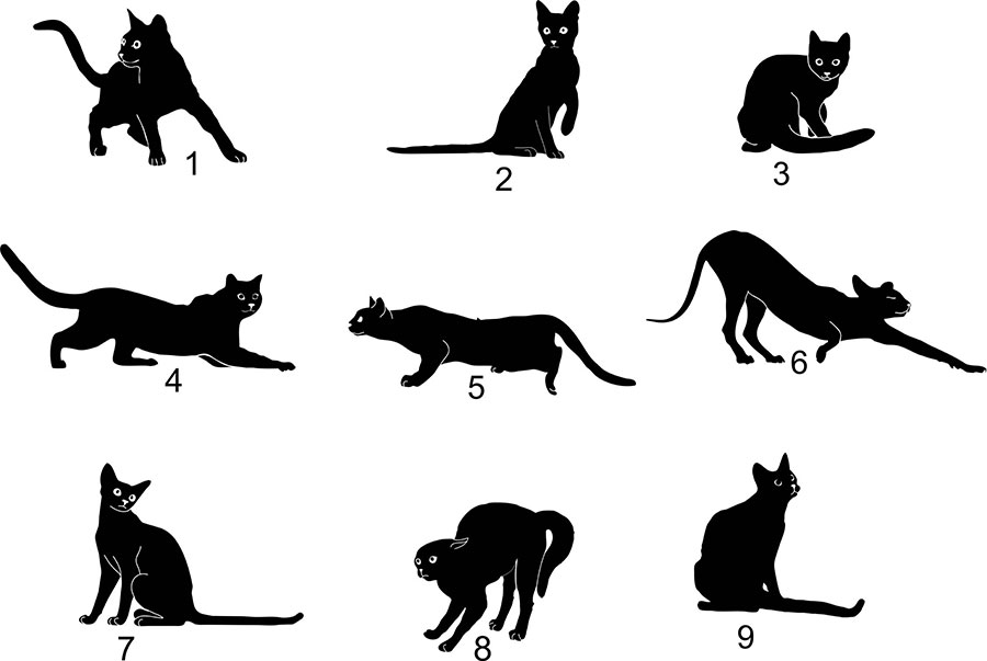 Engraved Cat Memorial Brick