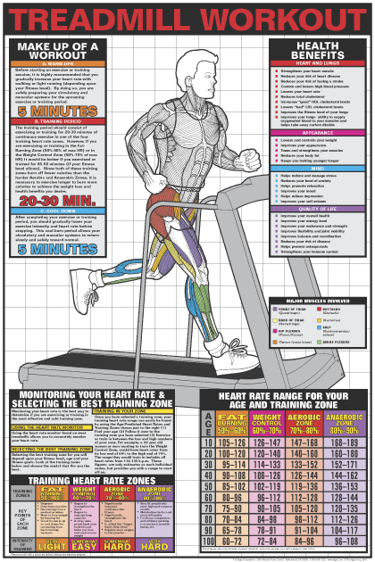 Treadmill Workout Poster - Laminated