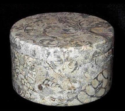 Fossil Coral Stone Carved Box - 3 Inch Round