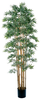 Bamboo Japanica Silk Tree 6' - Natural Trunk