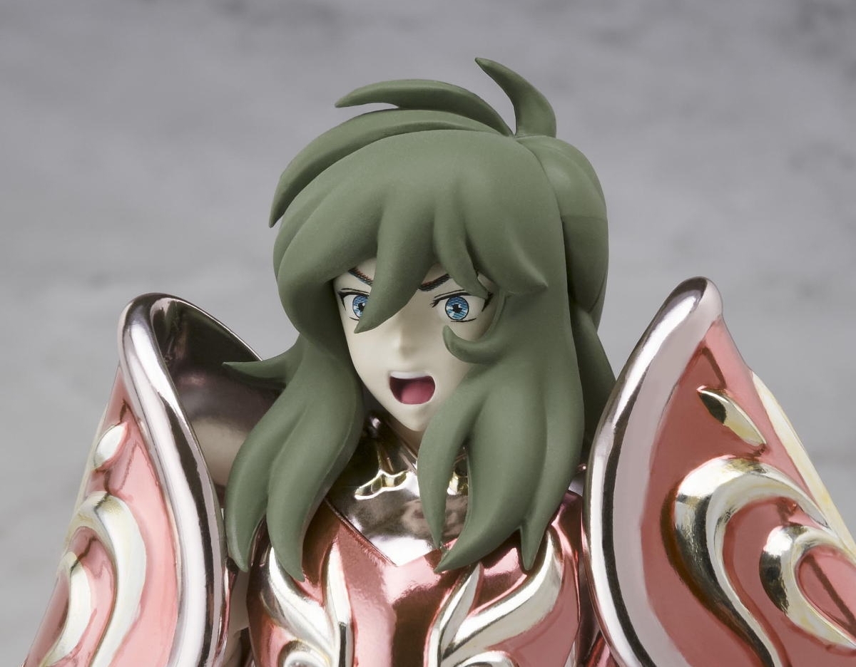 Saint Seiya - Andromeda Shun God Cloth (10th Anniversary Ed.)