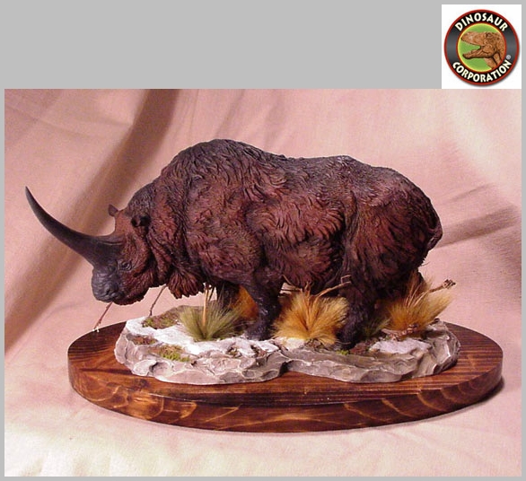 Elasmotherium Model Prehistoric Replica For Sale | Dinosaur Corporation