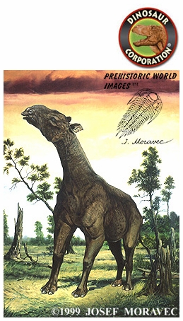 Indricotherium | Prehistoric Mammal | Dinosaur Corporation