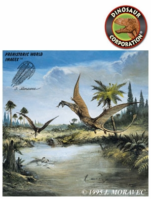 Rhamphorhynchus Jurassic Reptile Picture | Dinosaur Corporation