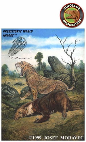 Saber Tooth Cat | Pleistocene epoch