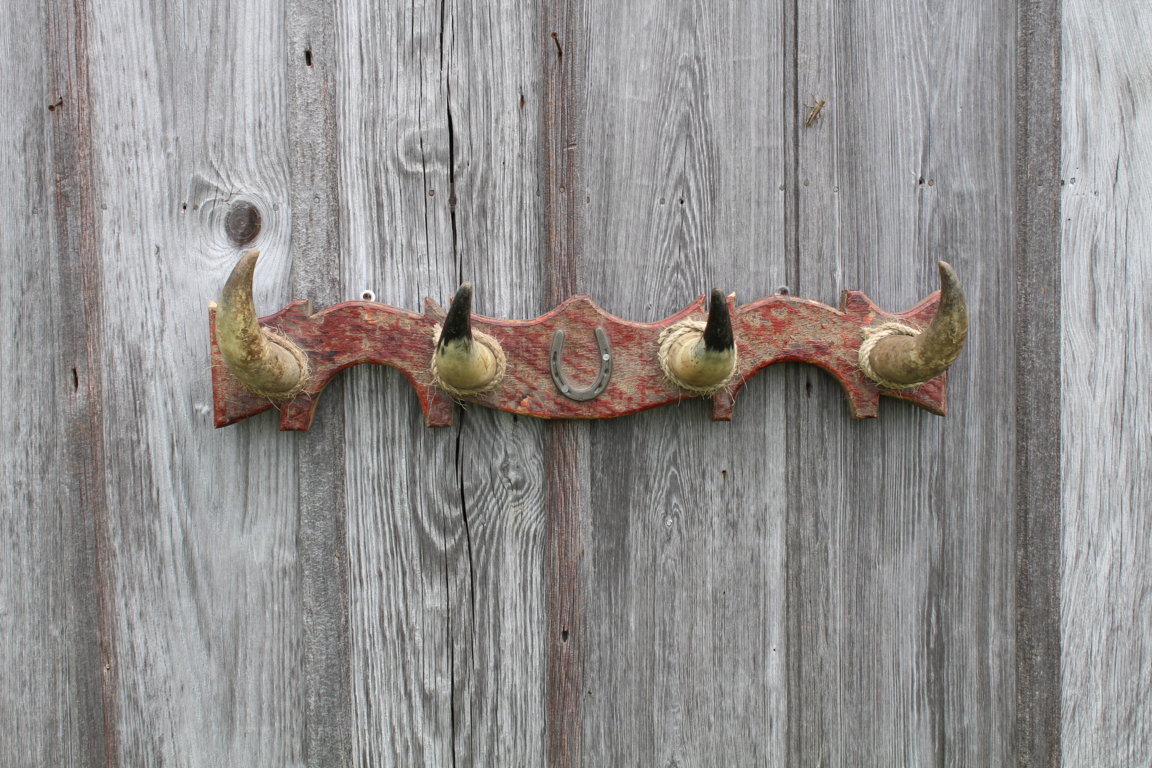 Bull Horn Coat Rack Southwestern Wall Decor