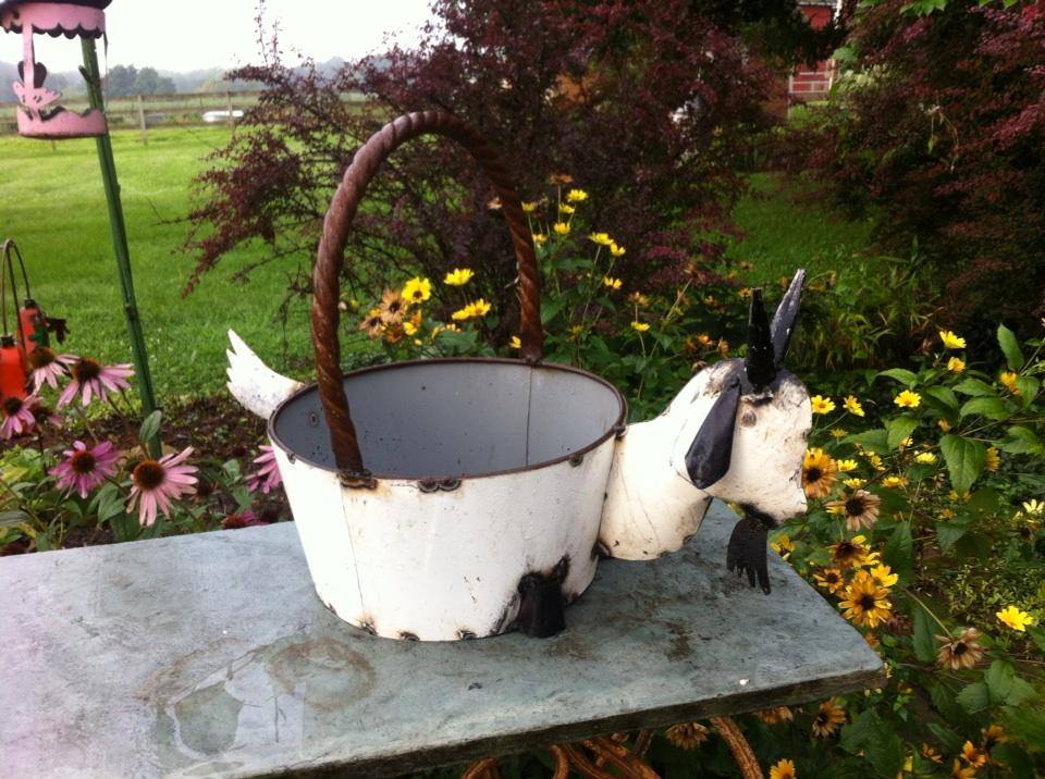 Recycled Metal Goat Pail Flower Pot Holder