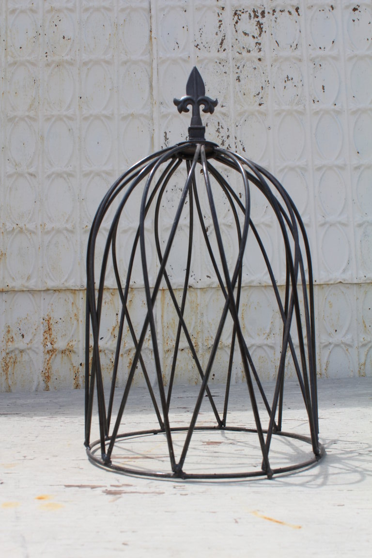 Wrought Iron Cloche Topiary Small Vine Growing Dome 3 sizes