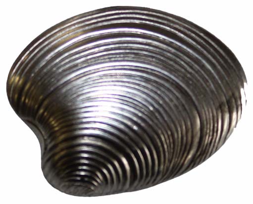 Metal Stamping SE23 Seashell .020" thickness Steel