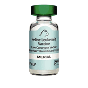 Purevax Recombinant Leukemia 25 x 1 Dose MERIAL LTD 72253