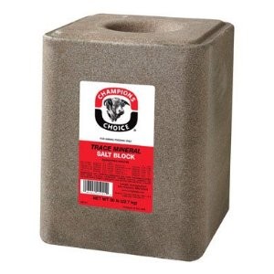 FreshMarine.com - Cargill Salt Products Block, Trace Mineral, 50 Lb ...