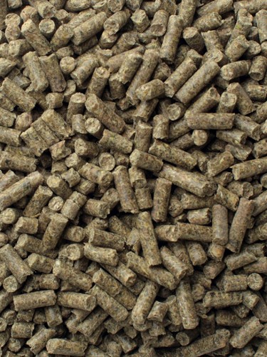 FreshMarine.com - Mazuri Special Animal Feeds Mazuri Guinea Pig Diet ...