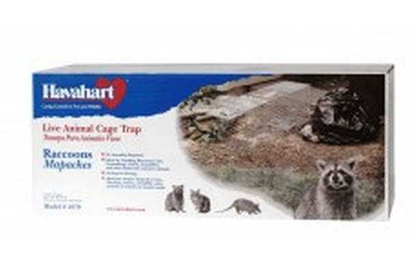FreshMarine Offers Havahart Professional Style Raccoon Trap Gravity 1 ...