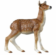 Papo Wildlife - Zoologist designed attention to detail