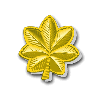 Air Force Major Rank Insignia