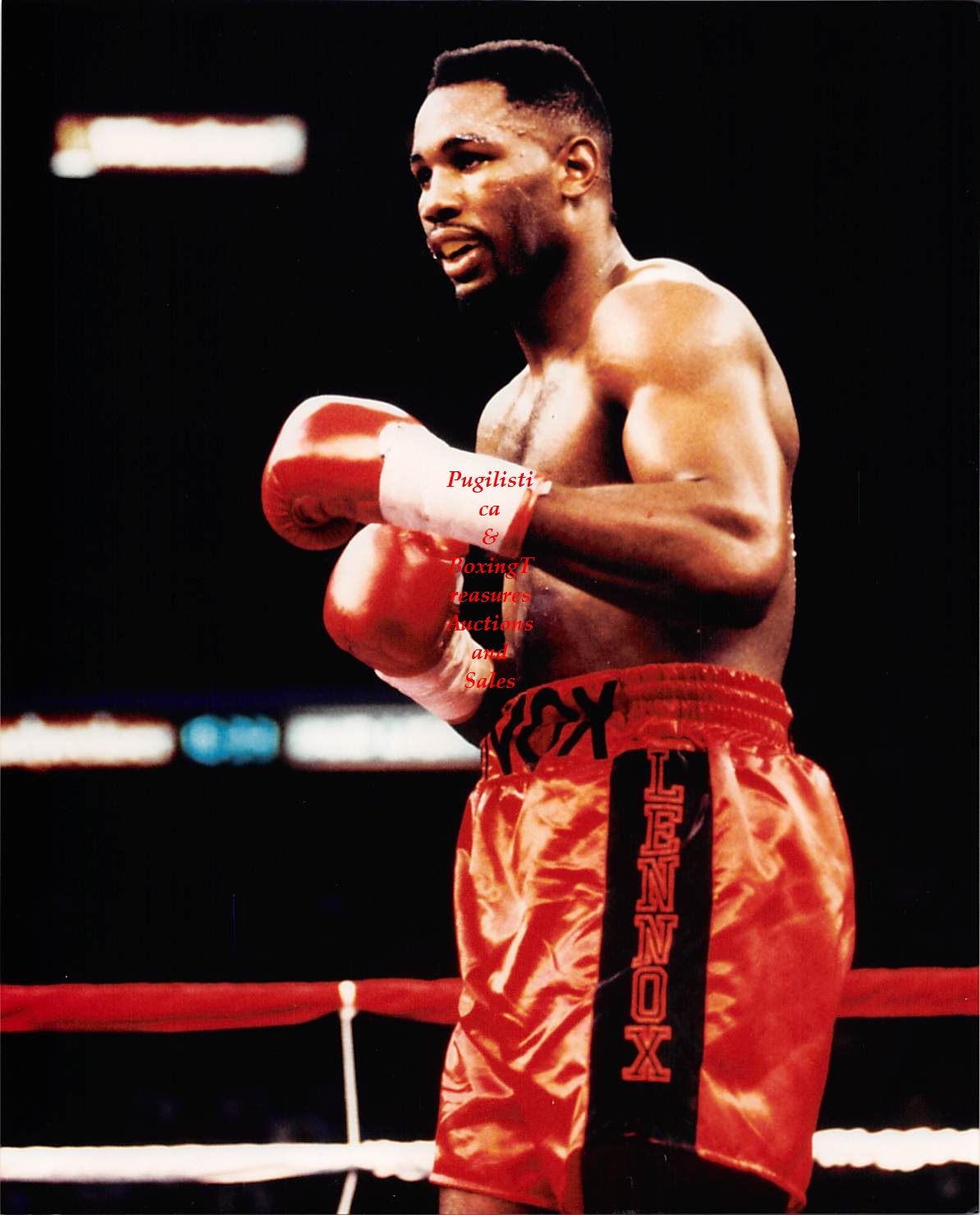 Boxing Photo #36 - Lennox Lewis