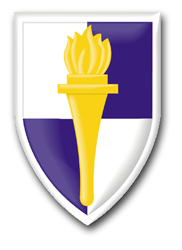 Army 356th Civil Affairs Brigade 10" Patch Decal