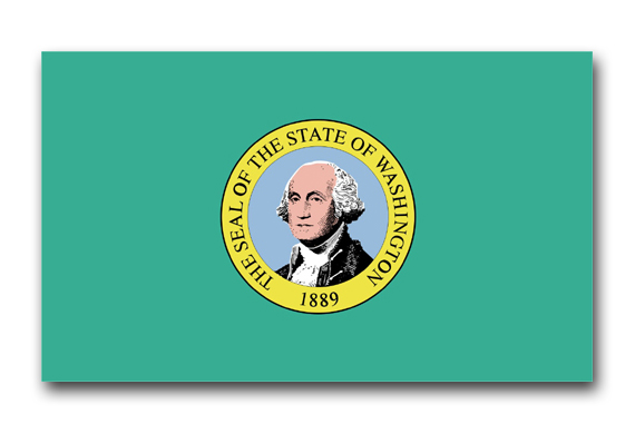 Washington State Flag Vinyl Transfer Decal