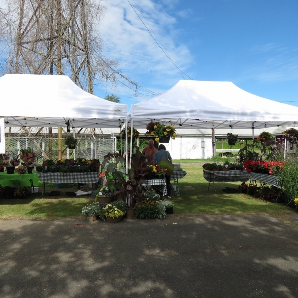 Caravan Classic 10' X 15' Canopy with Professional Top