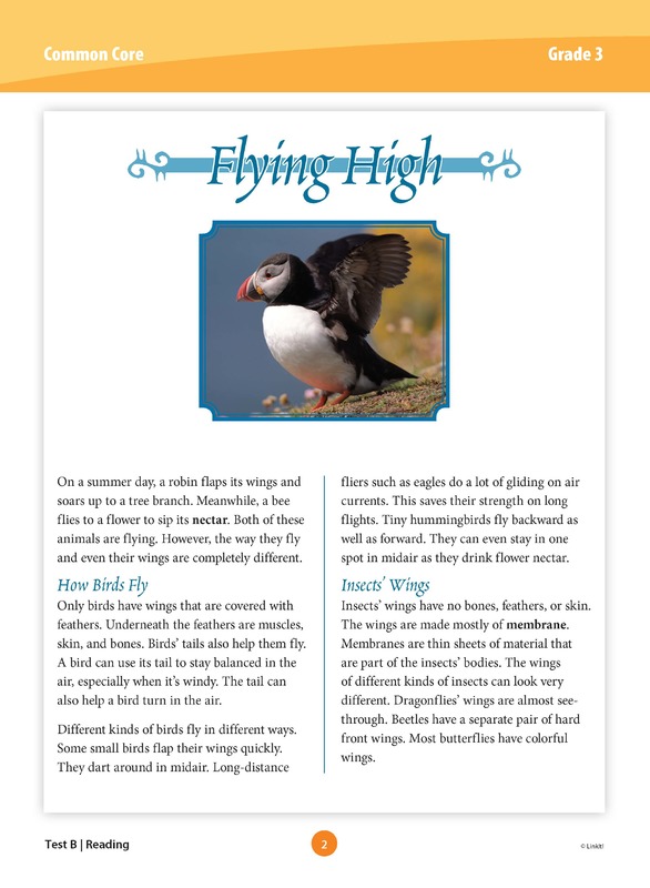 Common Core Grade 3 Practice Tests: New!