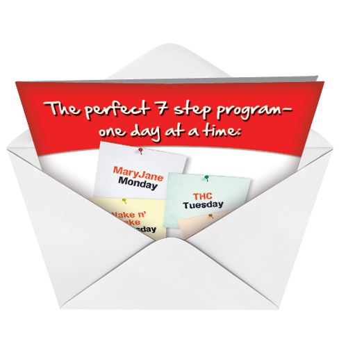 7 Step Program Funny High Notes Happy Birthday Card