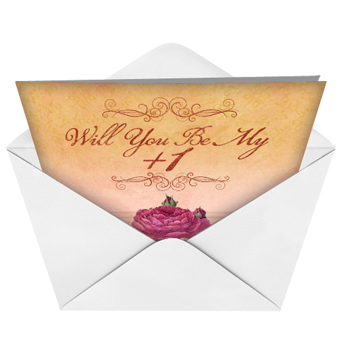 Valentine's Day Plus One Funny Greeting Card