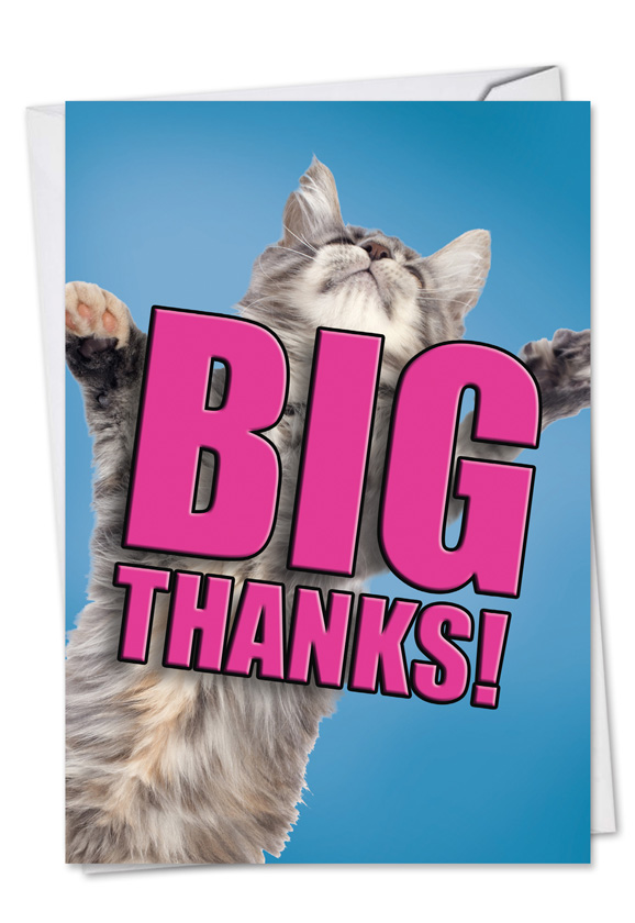 Cat Big Thanks Nobleworks By Design Thank You Paper Card