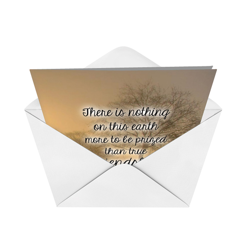 Friendly Words Nobleworks By Design Birthday Greeting Card
