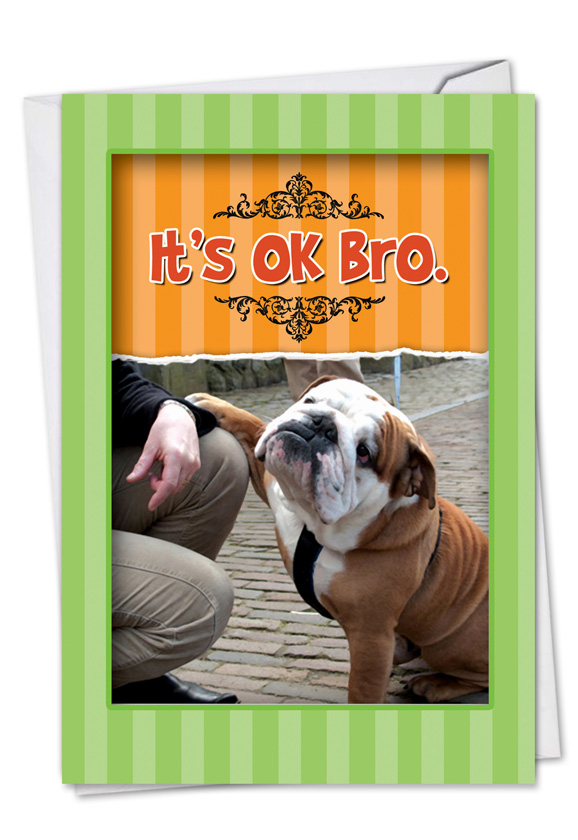 It's Ok Bro Petigreet Birthday Greeting Card