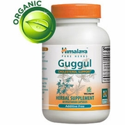 Buy Himalaya Herbal Healthcare - Guggul, Cholesterol Support - 60 ...