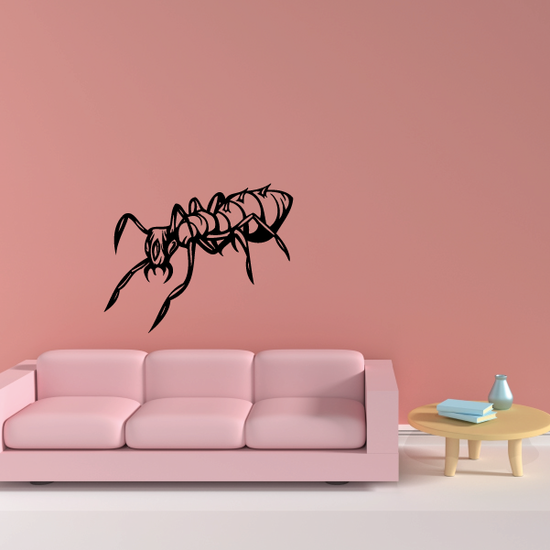 Detailed Transparent Ant Decal