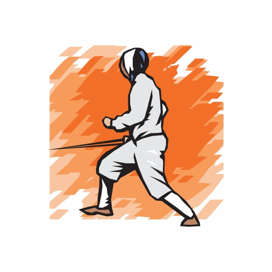 Fencing Wall Decal - Vinyl Sticker - Car Sticker - Die Cut Sticker - DC 003