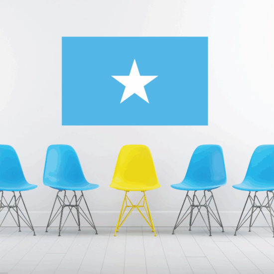 Somali Flag Sticker
