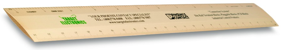 Engineering Scale Rulers 12" Custom imprint company logo on engineers ...
