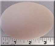 NE 18 Small Goose Egg Shell