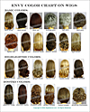 WigsNatural.com - Wig Color Chart