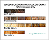 WigsNatural.com - Wig Color Chart