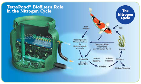 Tetra ClearChoice PF-1 Gravity Bio Pond Filter - Black - 16783