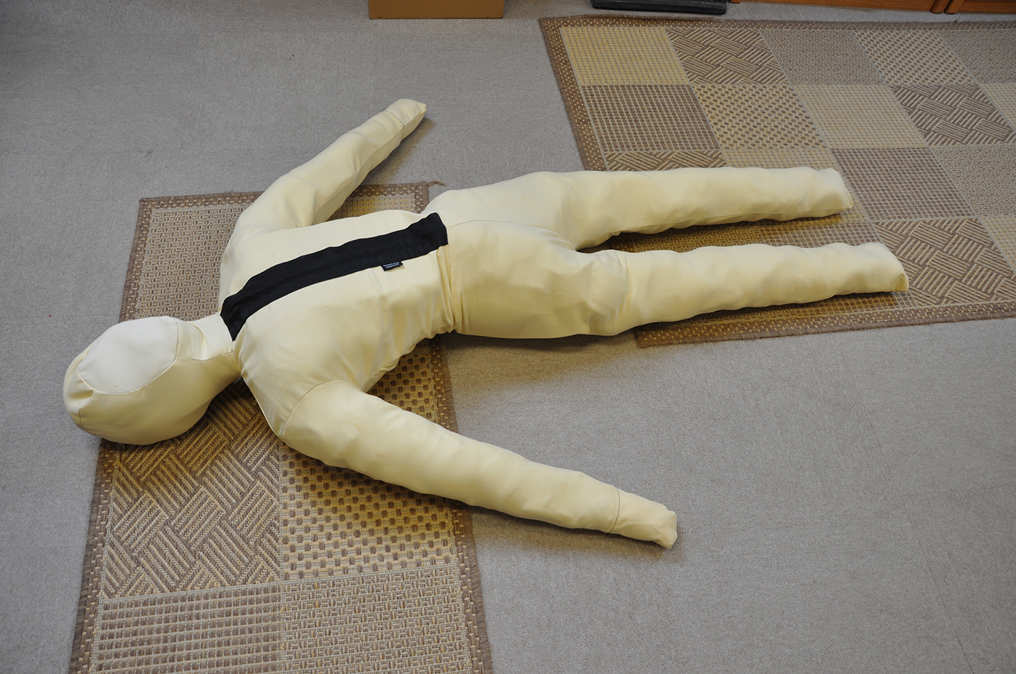 General Purpose Training Manikins from Ruth Lee - Notes