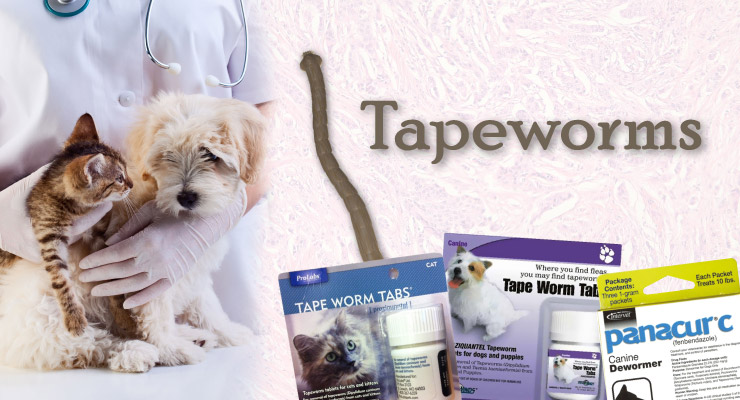 Tapeworms | On Sale | EntirelyPets