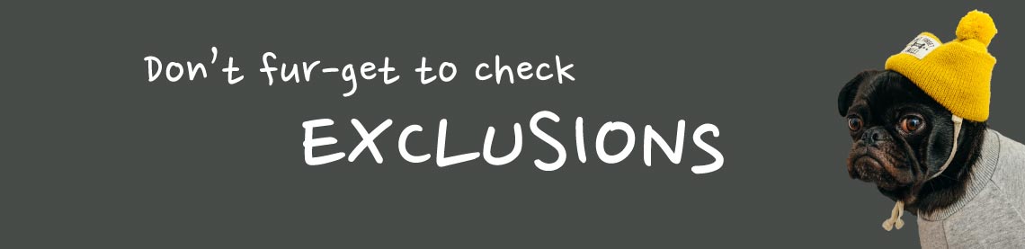 Promotion Exclusion | On Sale | EntirelyPets