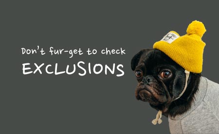 Promotion Exclusion | On Sale | EntirelyPets