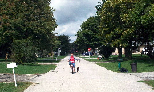 Meet Candy: The Amazing Rescue Dog Who Helped Her Owner Through Cancer ...