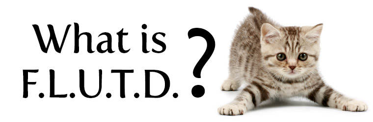 FLUTD: Feline Lower Urinary Tract Disease - Cat Renal and Urinary ...