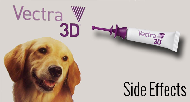 Side Effects of Vectra 3D: Is It Safe? | EntirelyPets