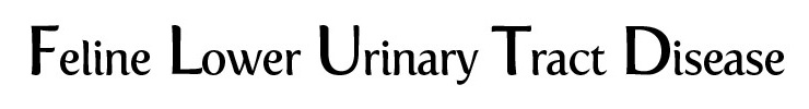 FLUTD: Feline Lower Urinary Tract Disease - Cat Renal and Urinary ...